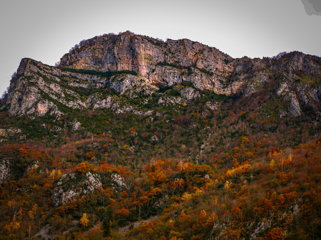 Au Local d'Aste-Beon – Hôtel d'entreprises à votre service